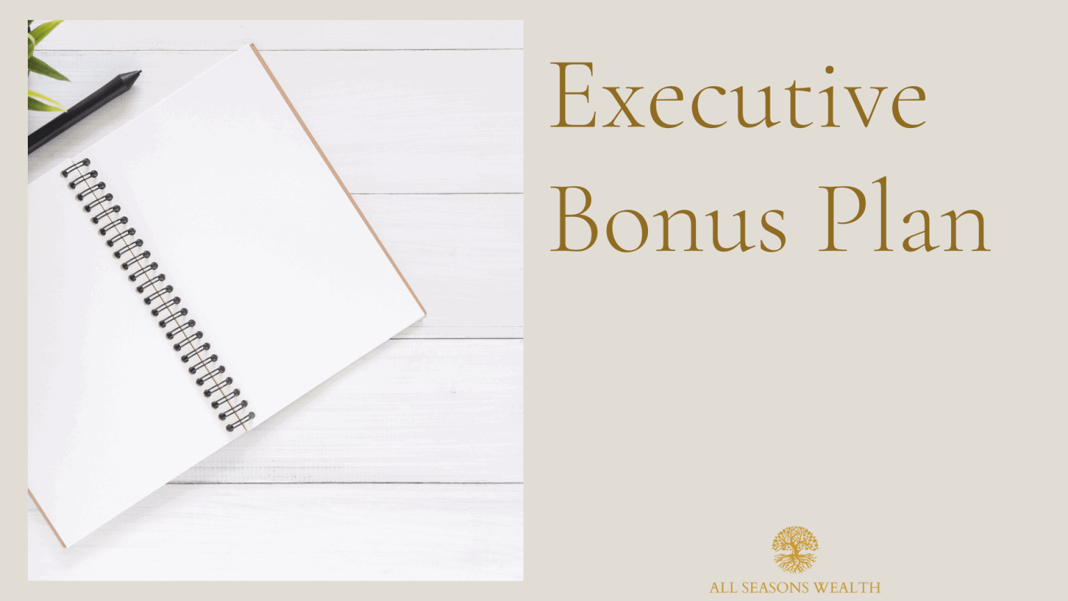 Executive Bonus Plan All Seasons Wealth executive-bonus-plan-all-seasons-wealth